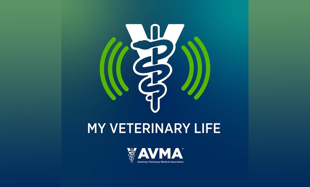 From Scientist to CEO: Dr. Linda Black’s Journey in Veterinary