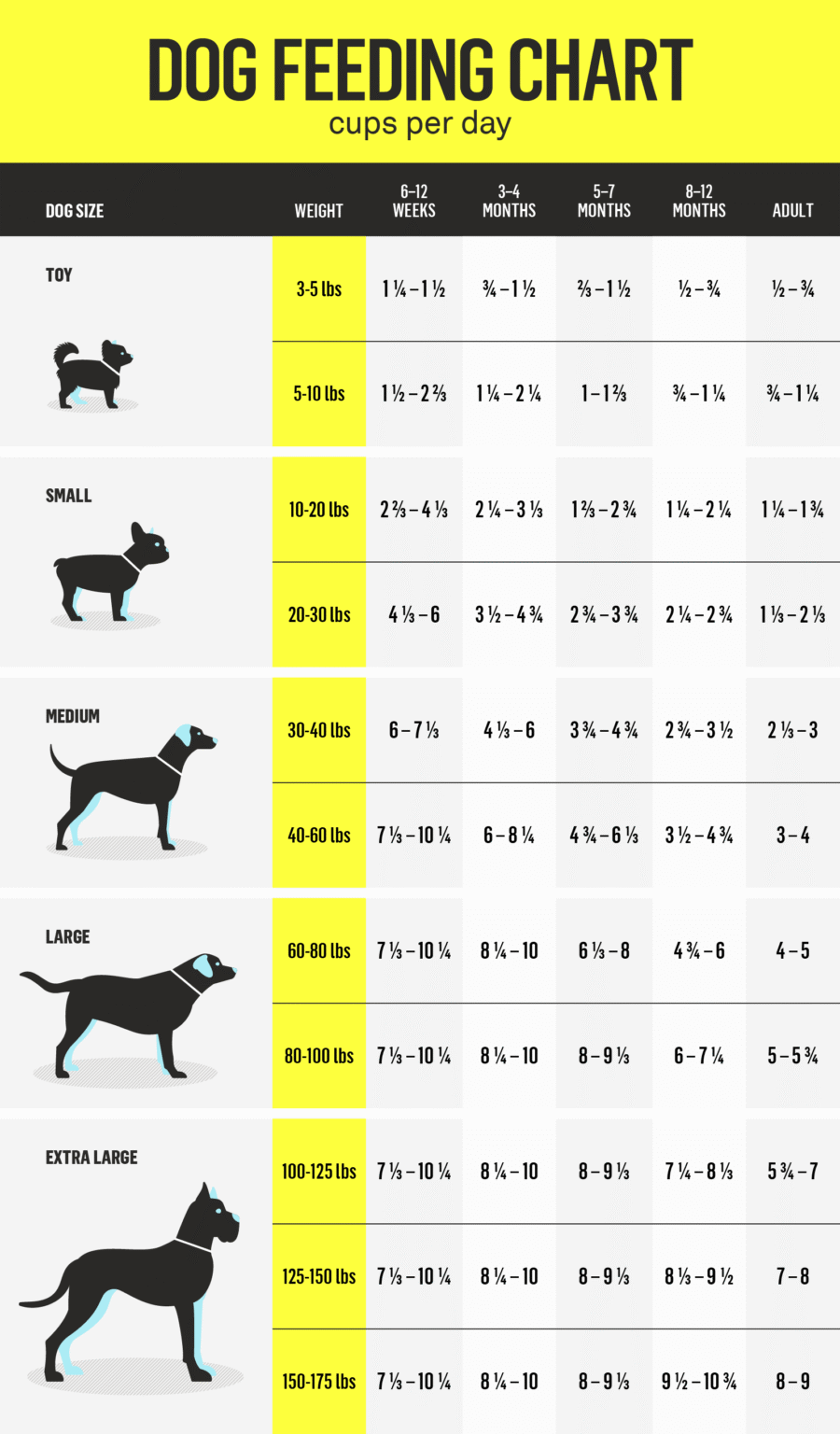 Dog Nutrition Guide: Feeding Schedules, Portions & Foods to Avoid