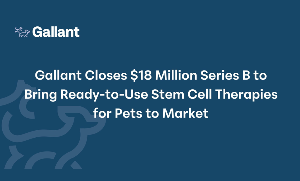 About Gallant | Science-Driven, Purpose-Led