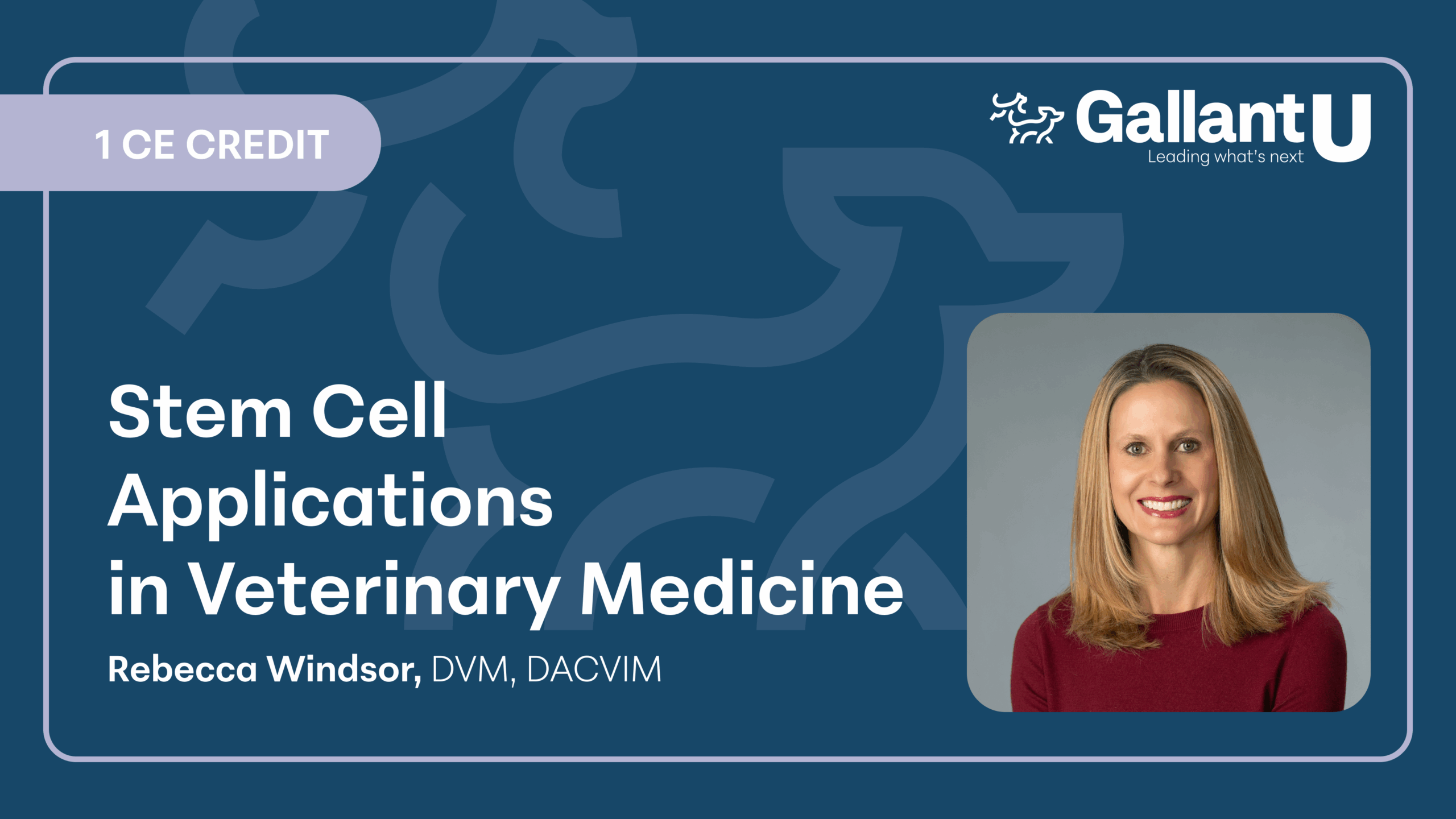 Free Veterinary CE | Stem Cell Applications in Veterinary Medicine