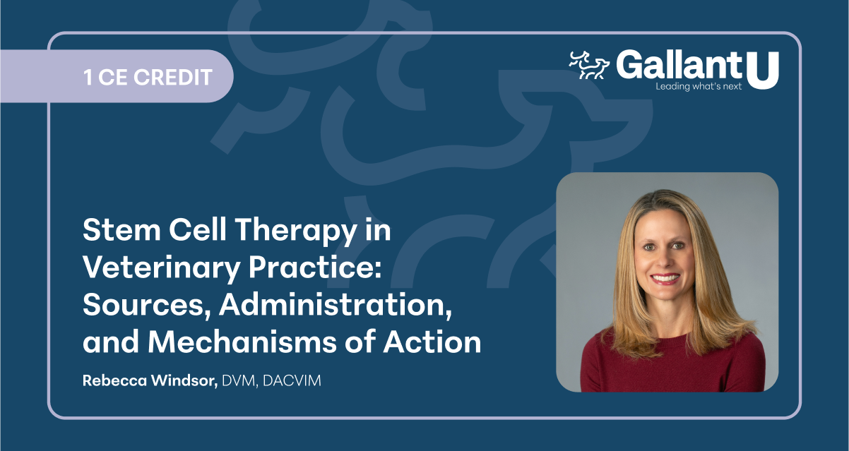 Free Veterinary CE | Stem Cell Therapy in Veterinary Practice