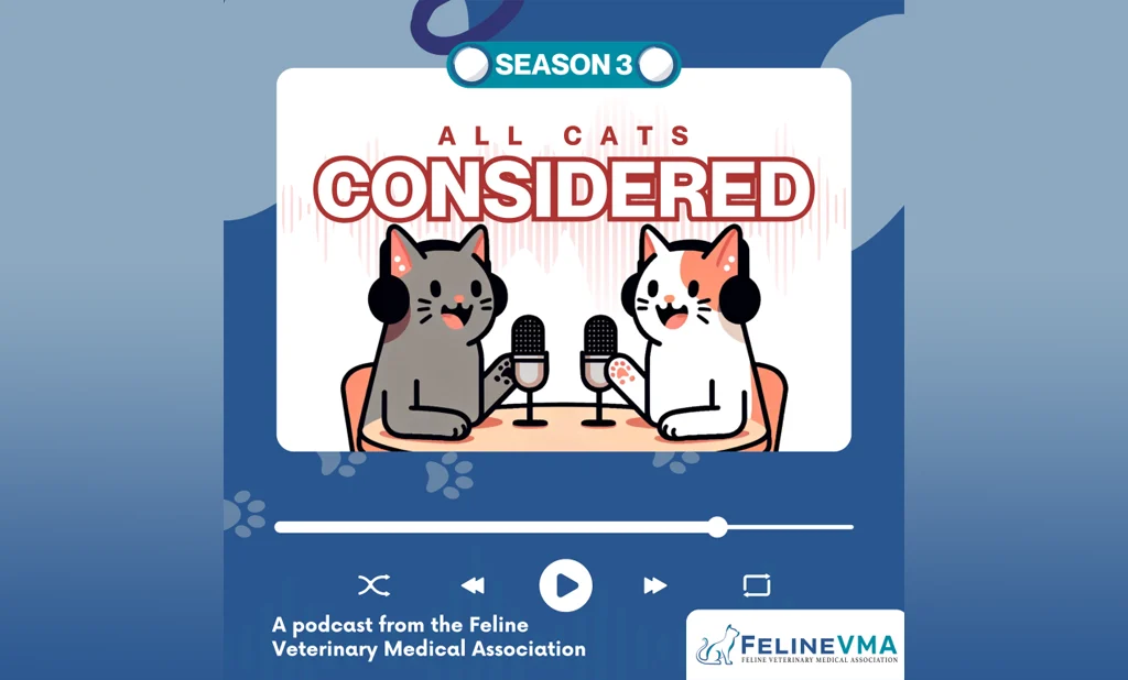 Dr. Rebecca Windsor Featured on All Cats Considered Podcast