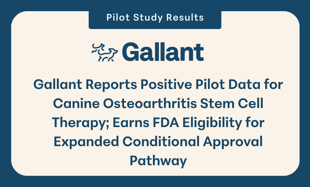 Gallant Stem Cell Therapy for Canine Osteoarthritis Shows Positive Results